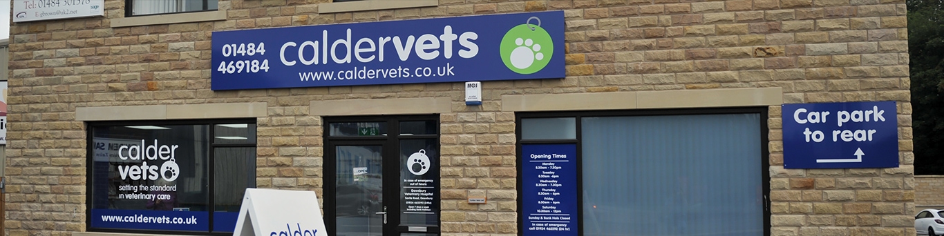 Contact Us - Waterloo