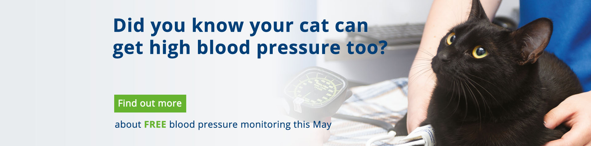 Offers at Calder Vets