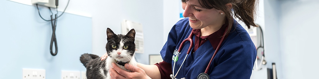 Marley - Floppy Rabbit Syndrome