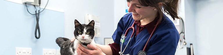 Marley - Floppy Rabbit Syndrome