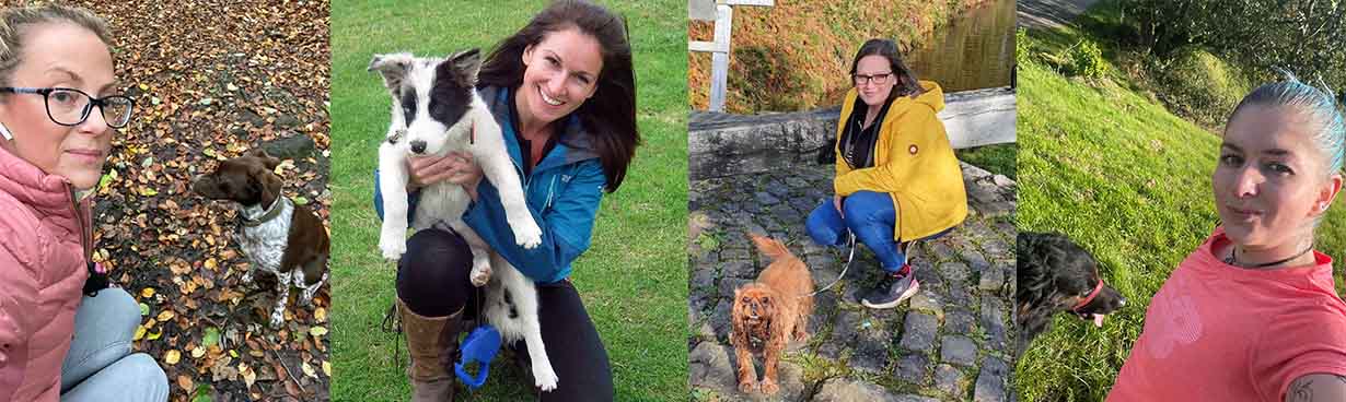 Calder Vets Team Up | Calder Vets | West Yorkshire