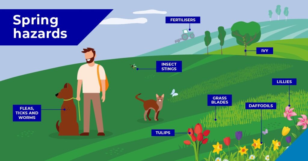 Spring hazards | Calder Vets | West Yorkshire